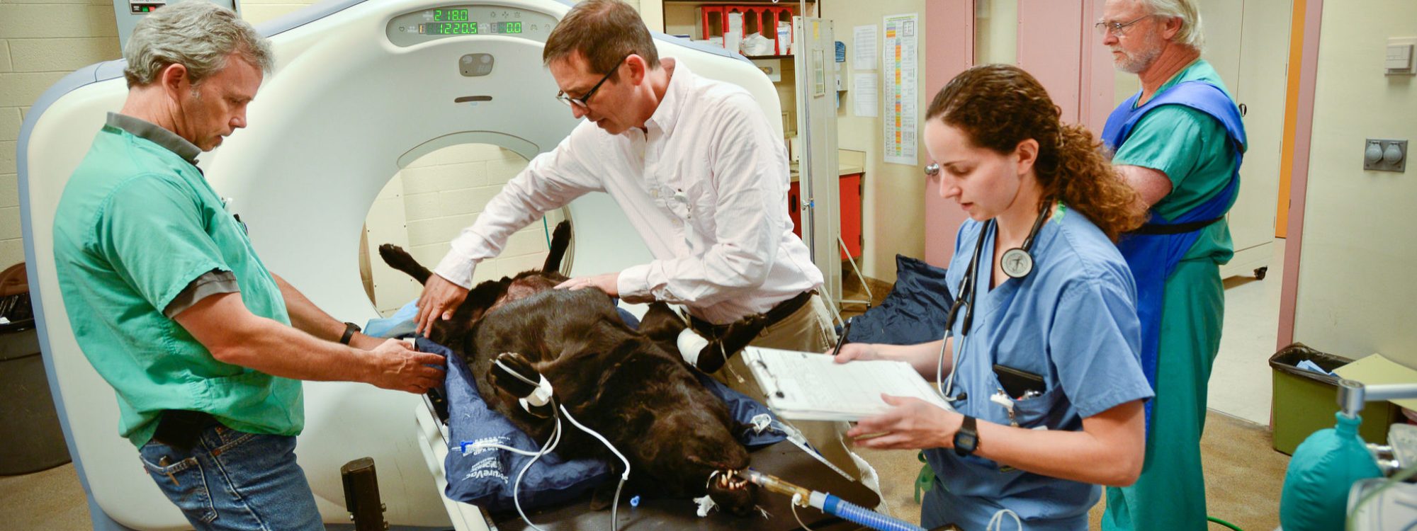 Veterinary device training from Health Tech Solutions