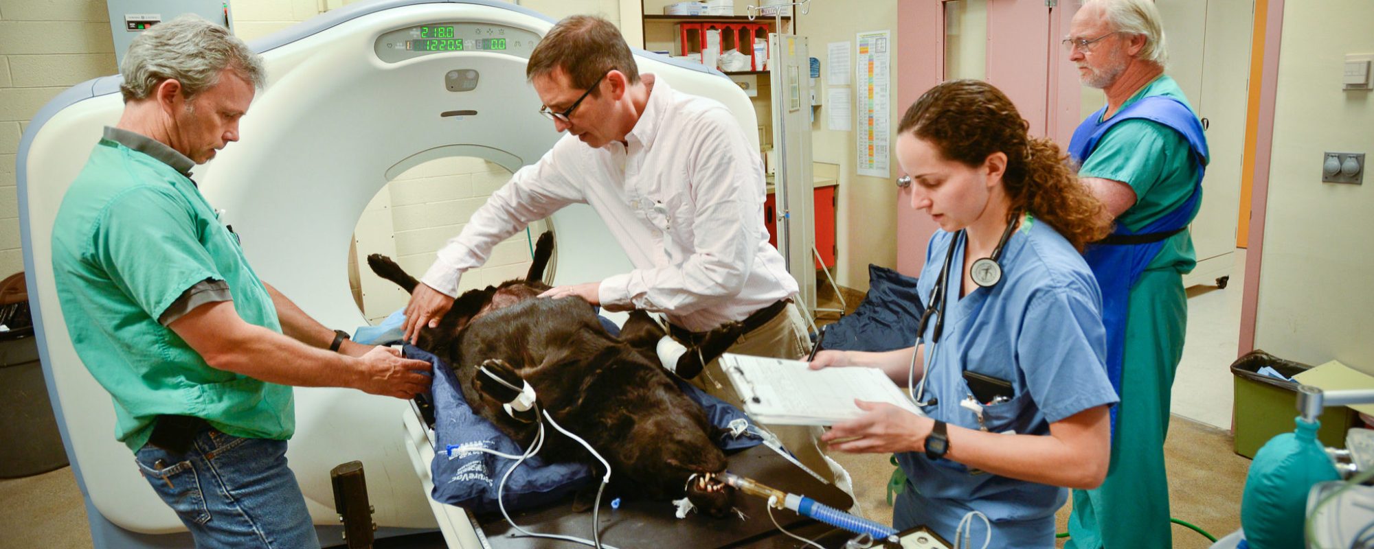 Veterinary device training from Health Tech Solutions